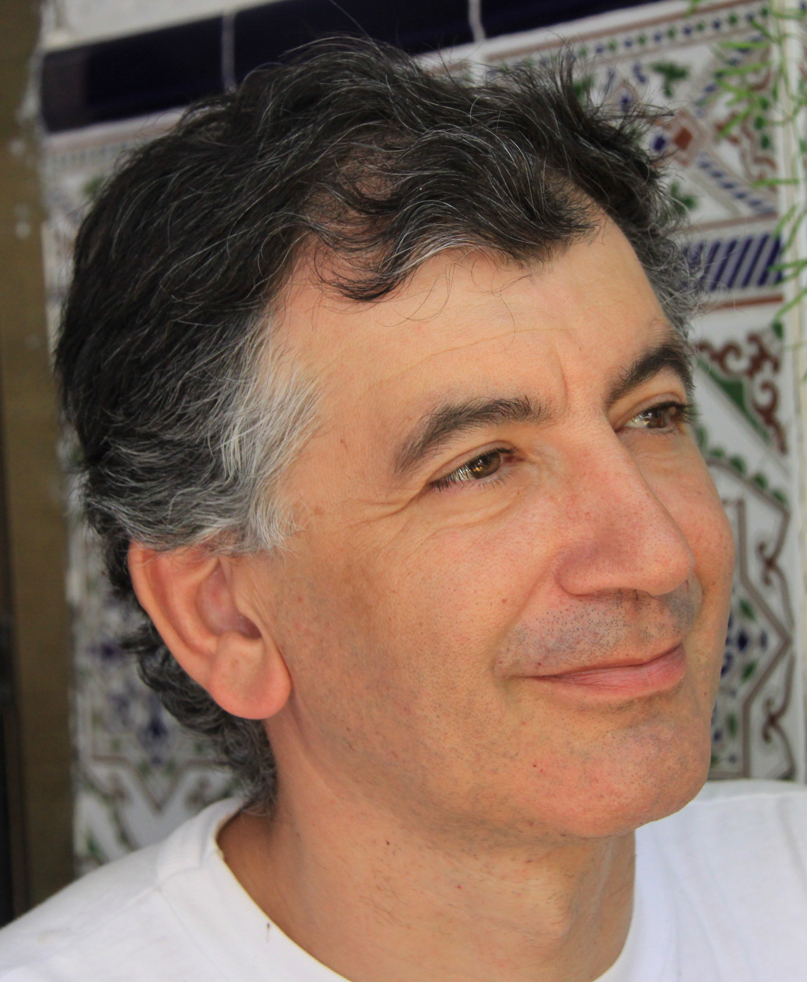 International Advisory Committee - WEEC 2015